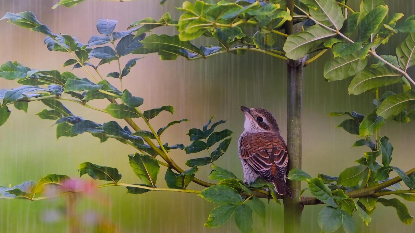 51. Herrieder Fotoausstellung: 40 Fotografinnen und Fotografen zeigen ...